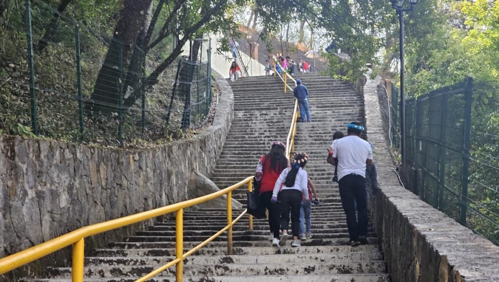 La Virgen de Chalma en el Ahuehuete: Una maravilla religiosa
